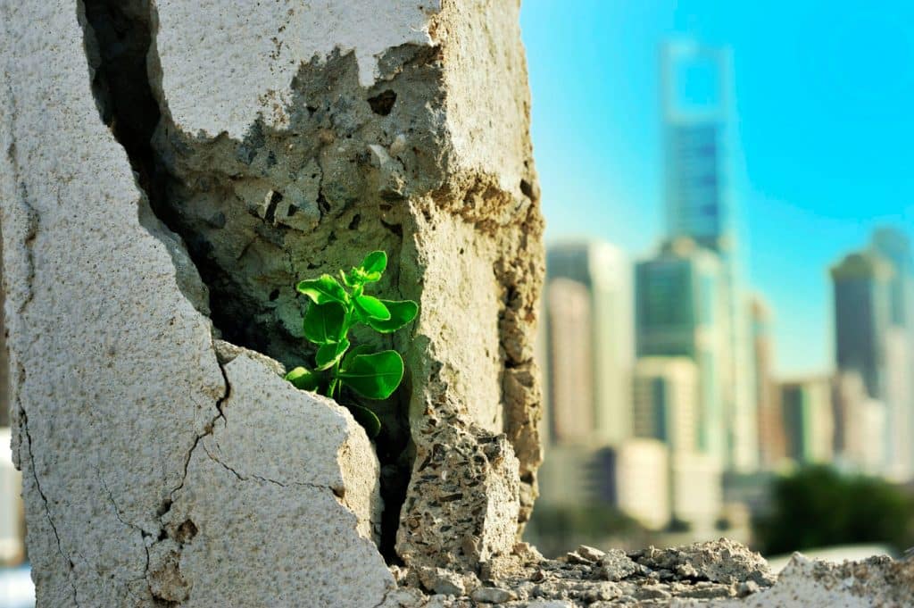 Green Concrete: Sustainable Concrete Technology - ConcreteHomes.com